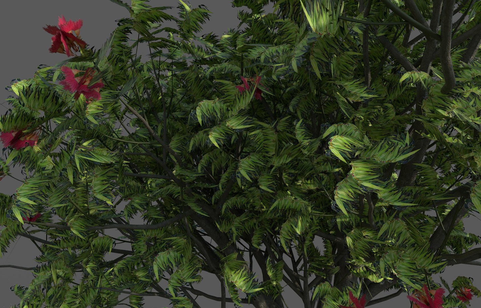 3D Red Gum Tree - TurboSquid 1743773