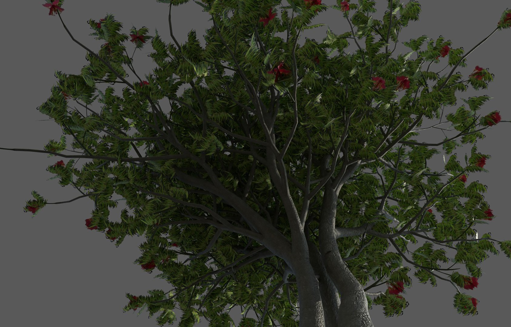 3D Red Gum Tree - TurboSquid 1743773