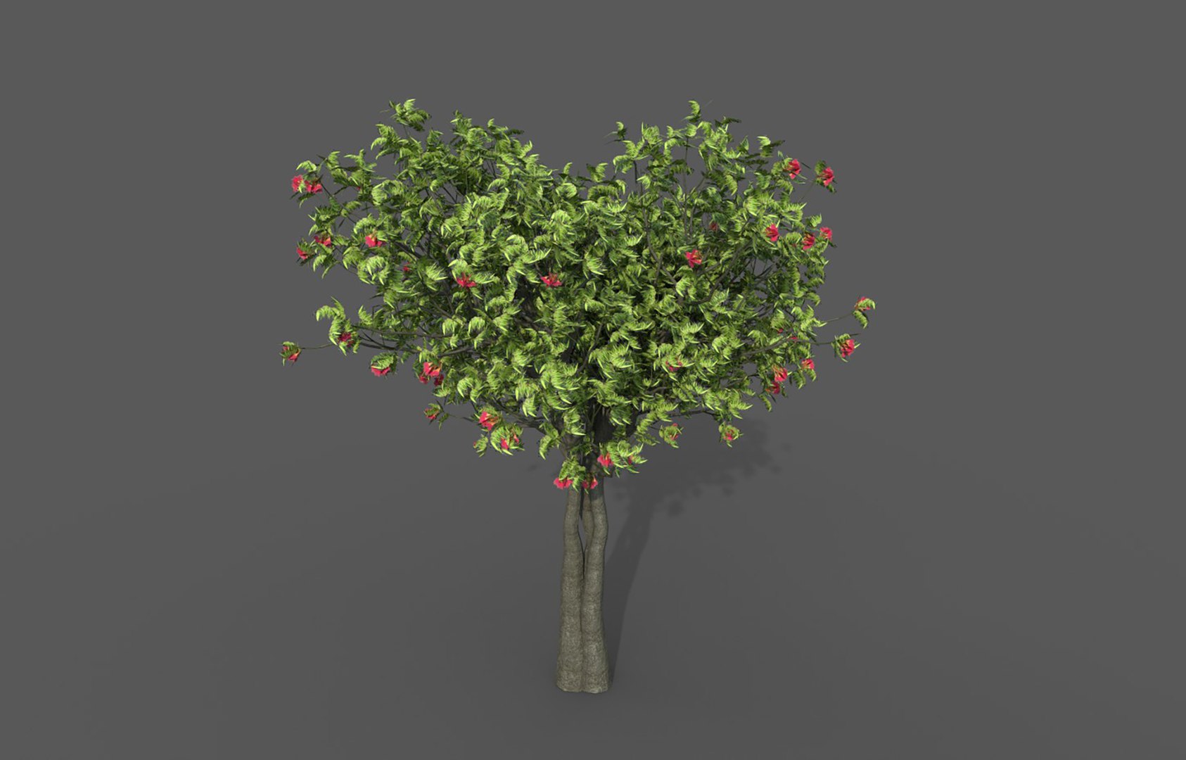 3D Red Gum Tree - TurboSquid 1743773