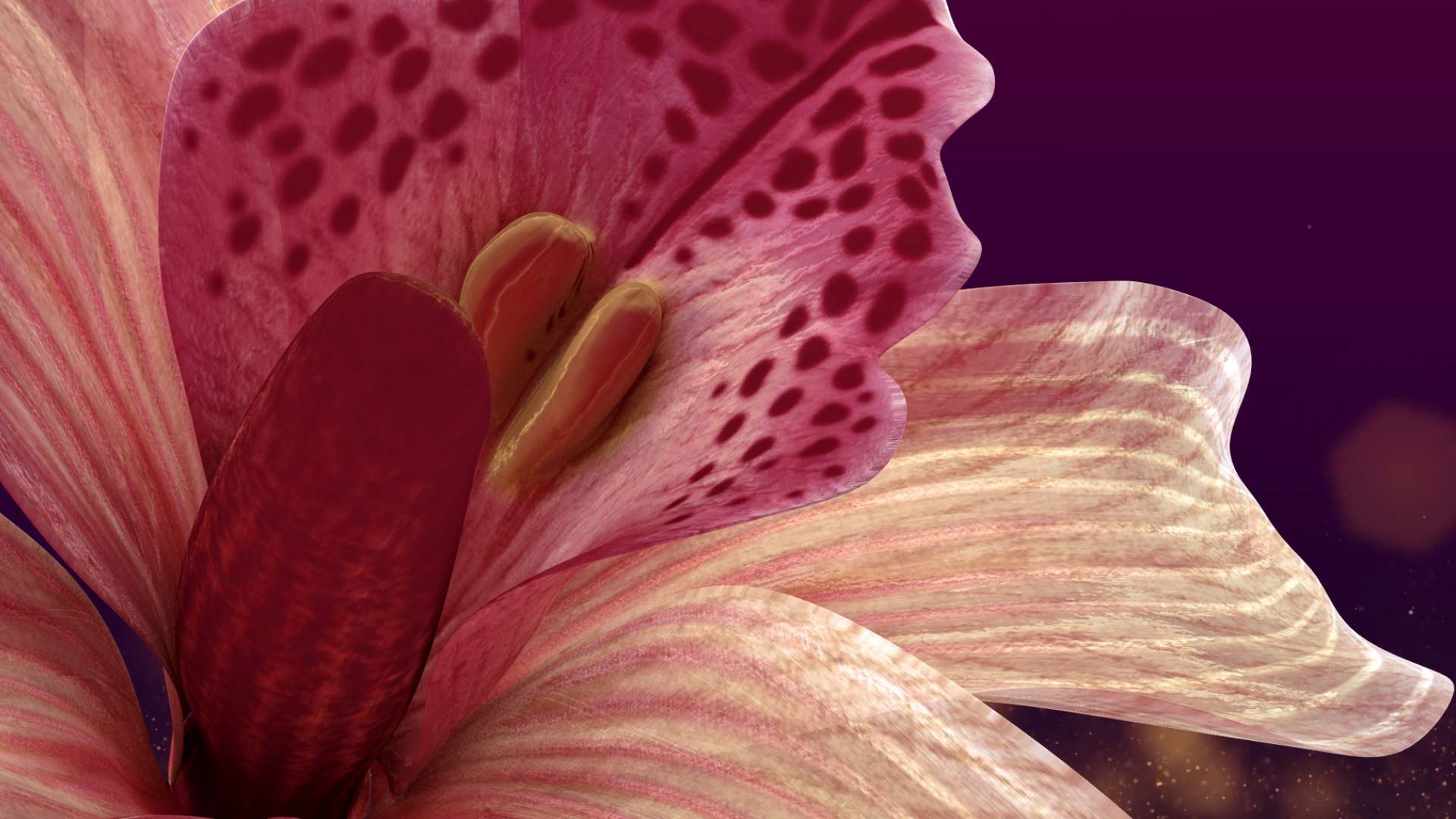 Beautiful Animated Orchid Flower 3D Model - TurboSquid 1822533