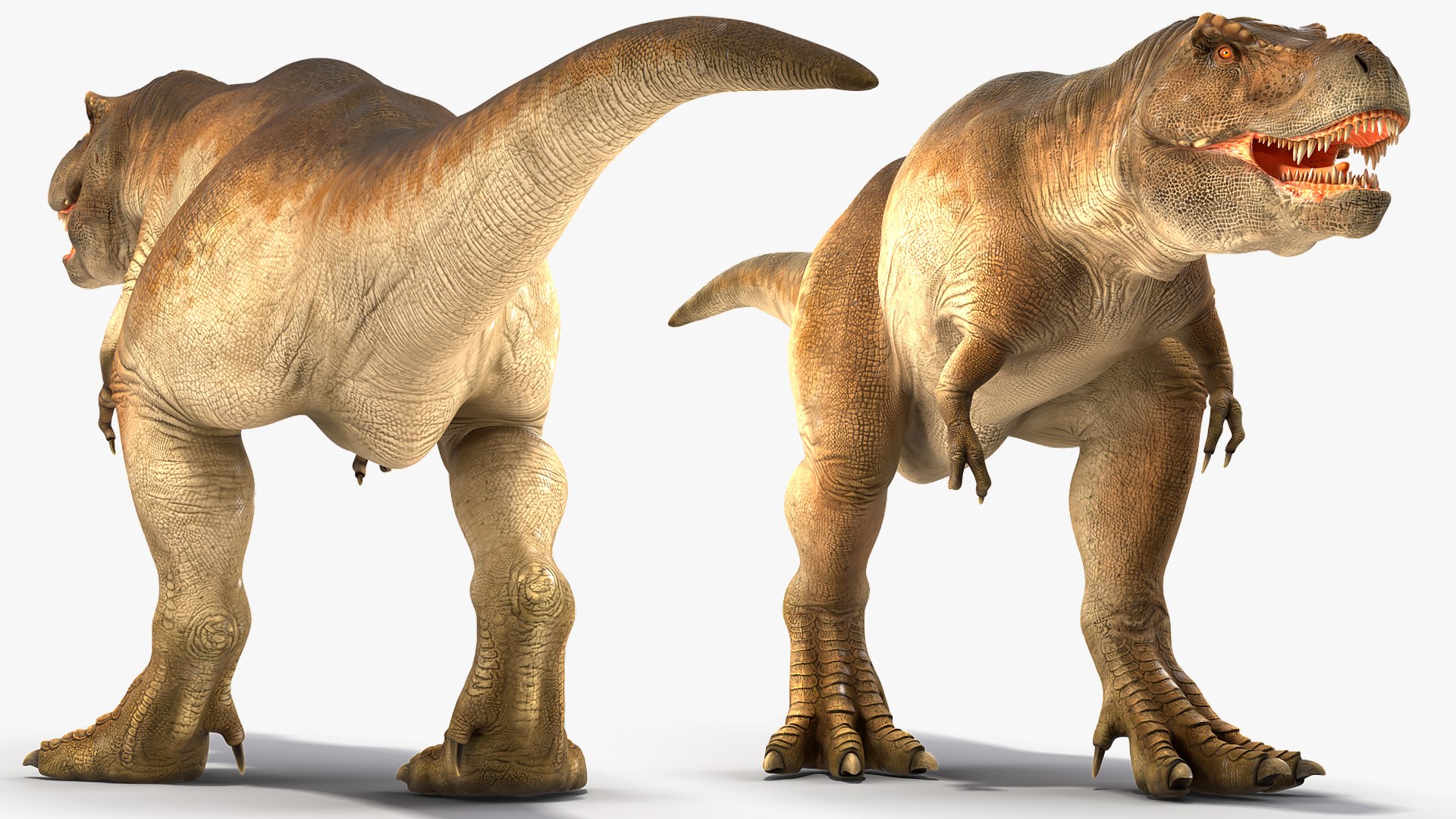 3D Tyrannosaurus Rex Walking Animal - TurboSquid 1566265