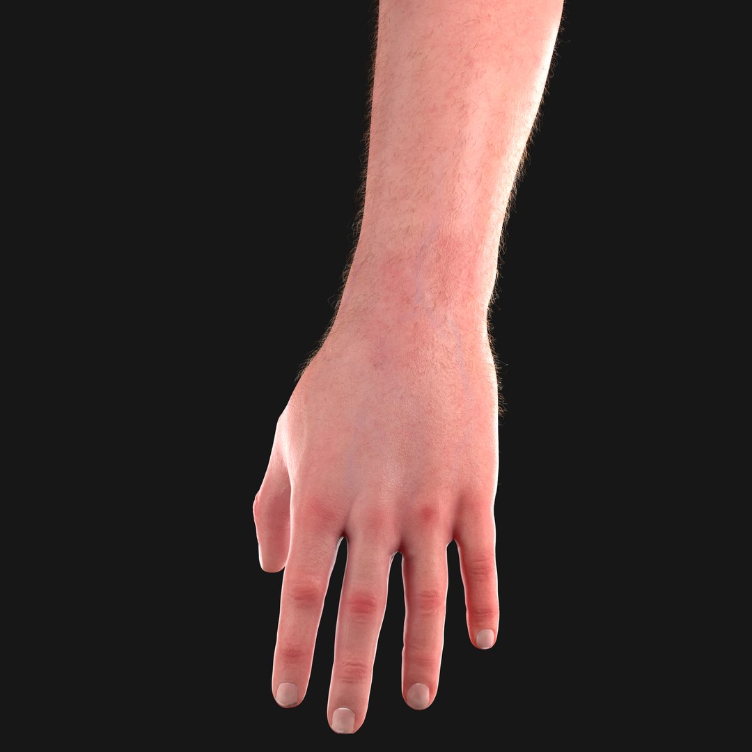 3D Model Realistic Hand - TurboSquid 1594193