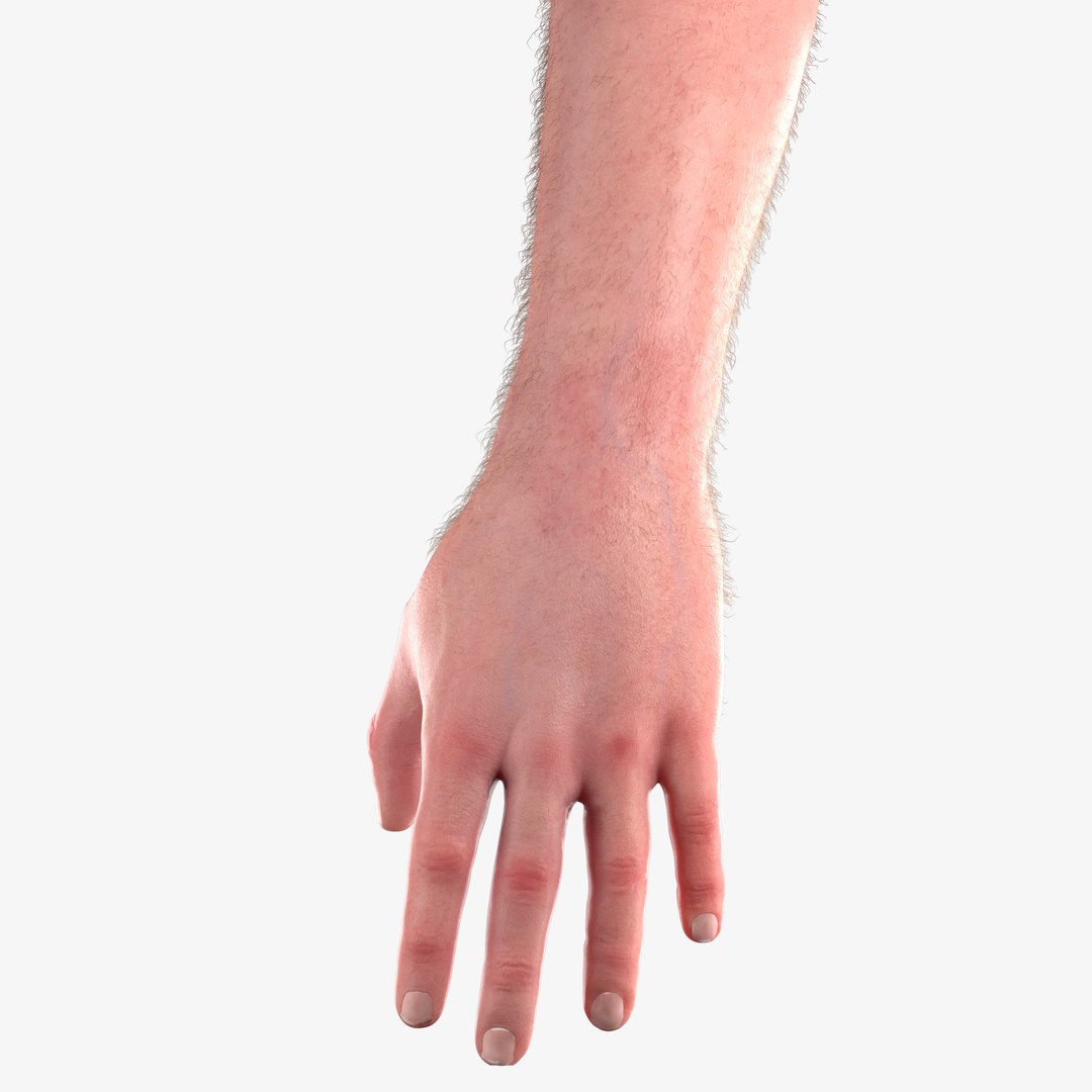 3D Model Realistic Hand - TurboSquid 1594193