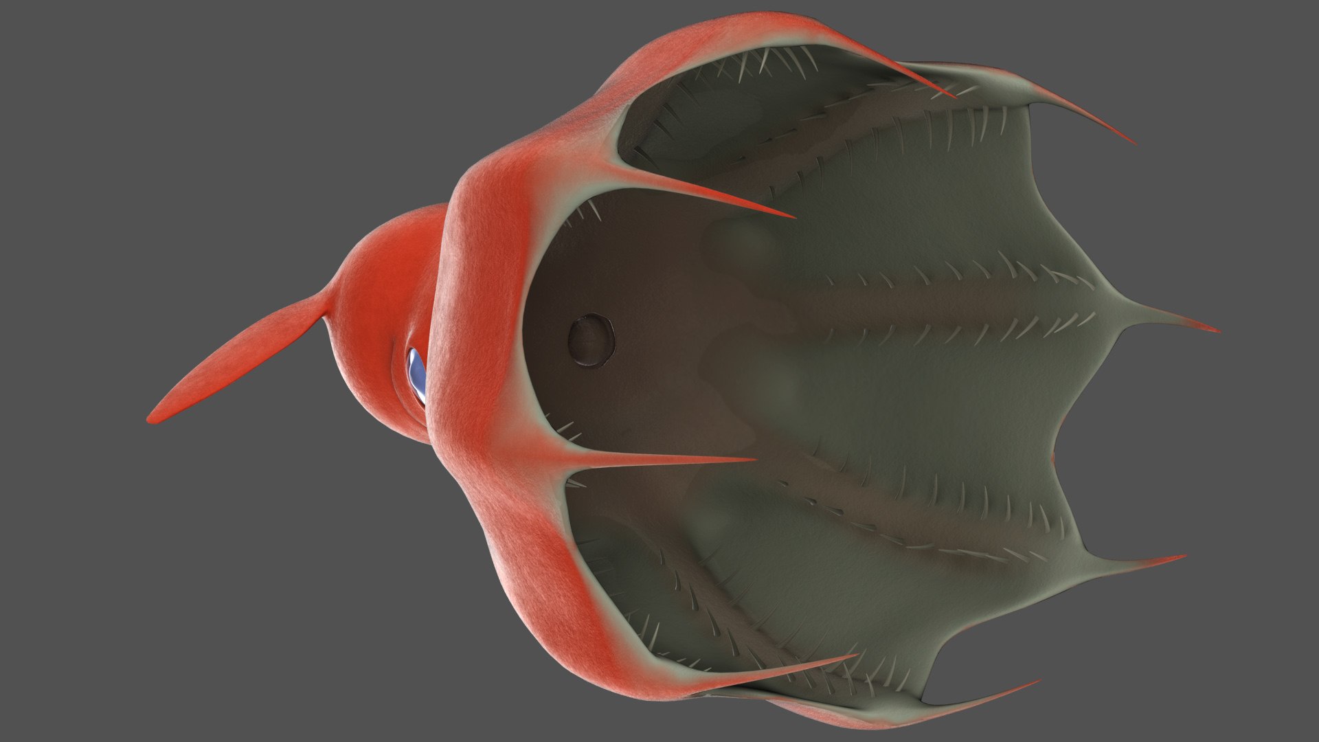 Vampire Squid 3D Model - TurboSquid 1593274
