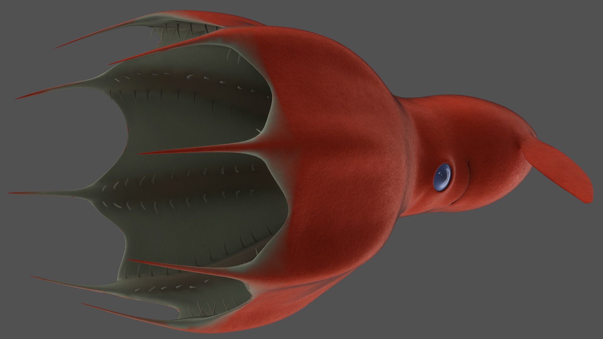 Vampire Squid 3D Model - TurboSquid 1593274