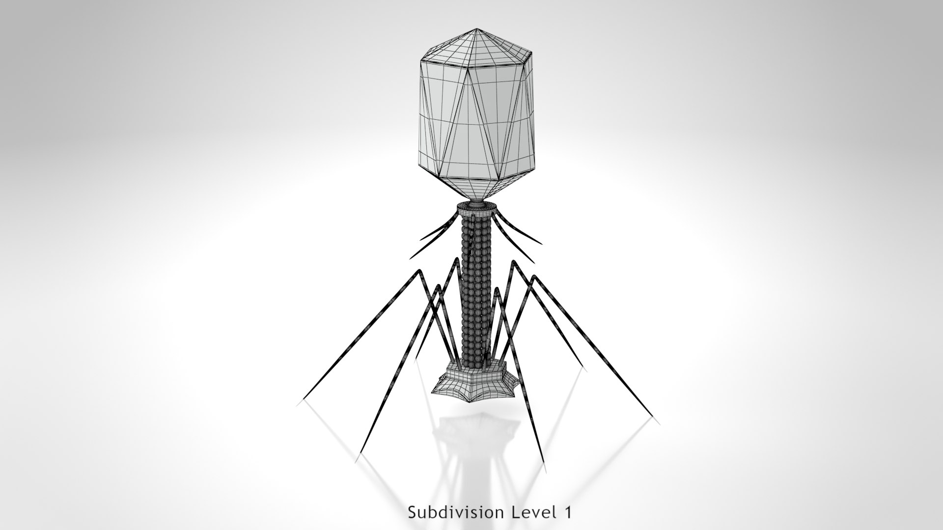 Bacteriophage 3D Model - TurboSquid 1975695