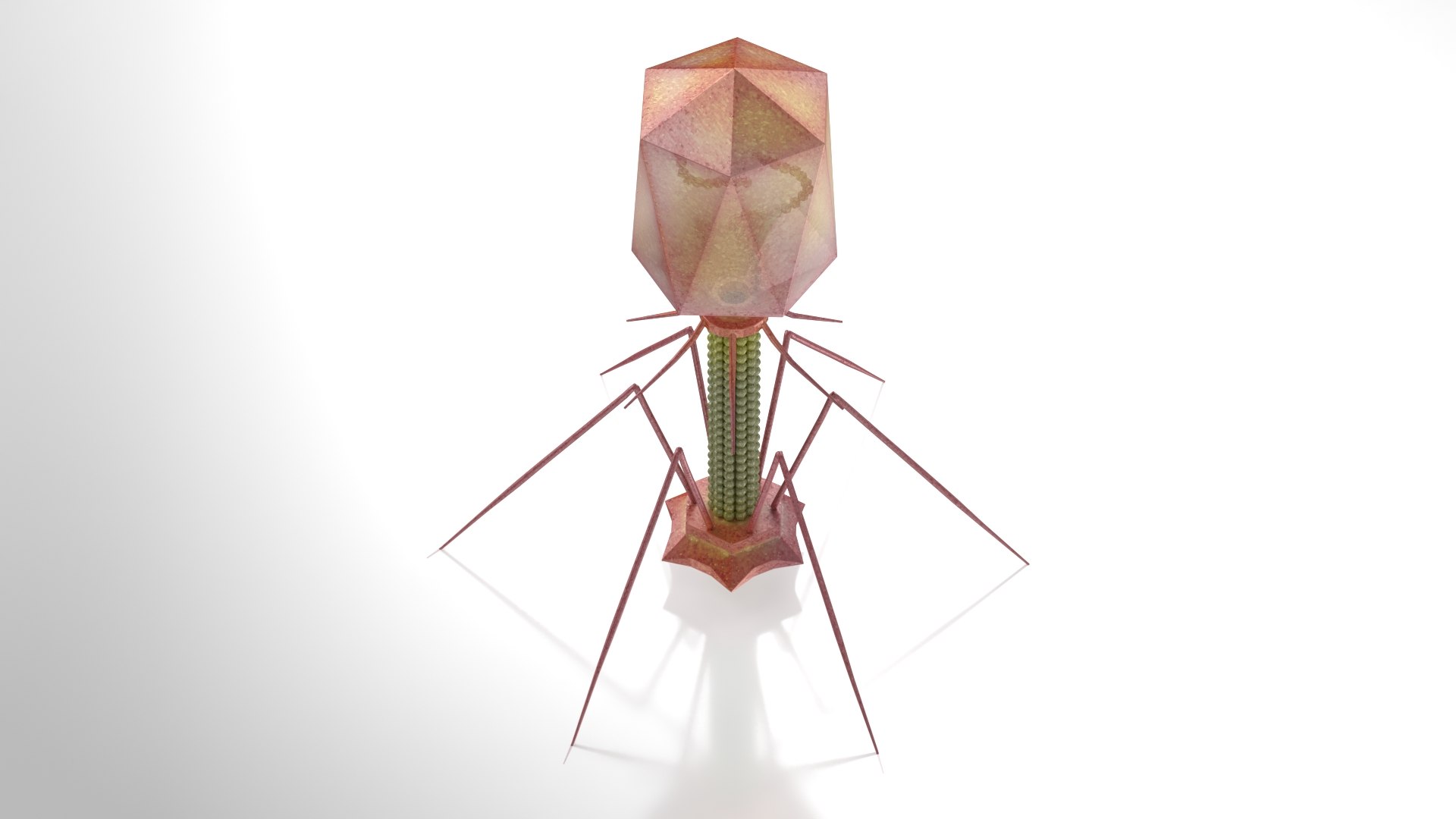 Bacteriophage 3D Model - TurboSquid 1975695