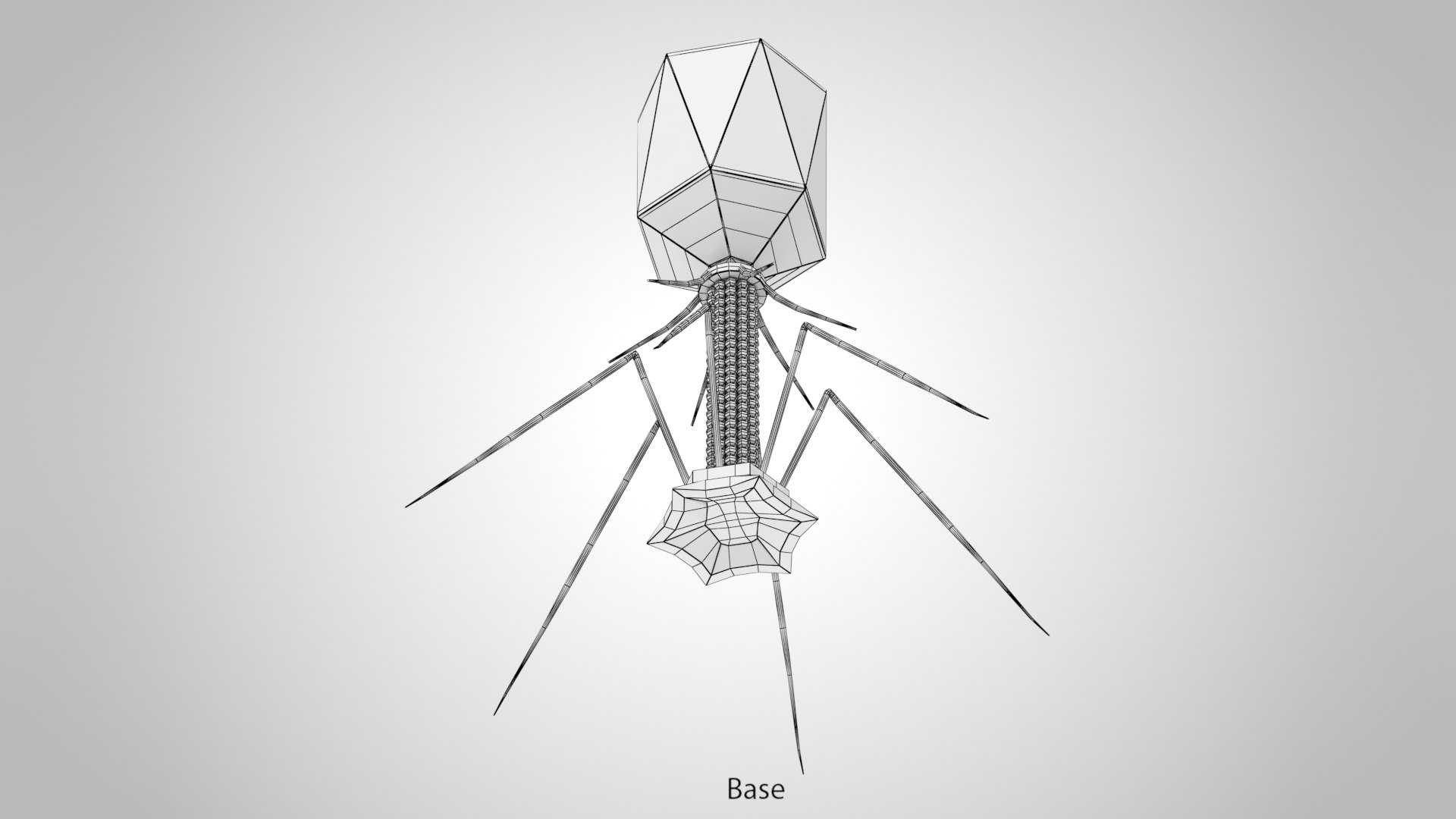 Bacteriophage 3D Model - TurboSquid 1975695
