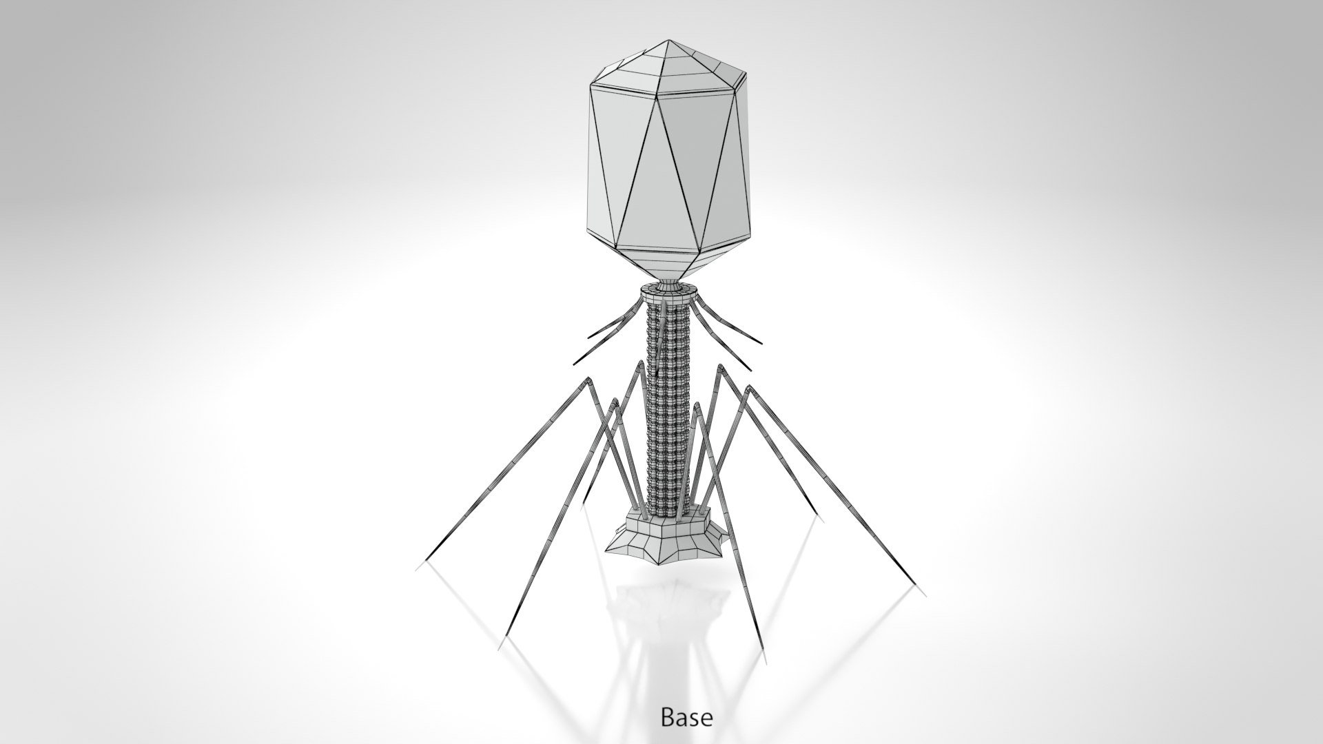 Bacteriophage 3D Model - TurboSquid 1975695