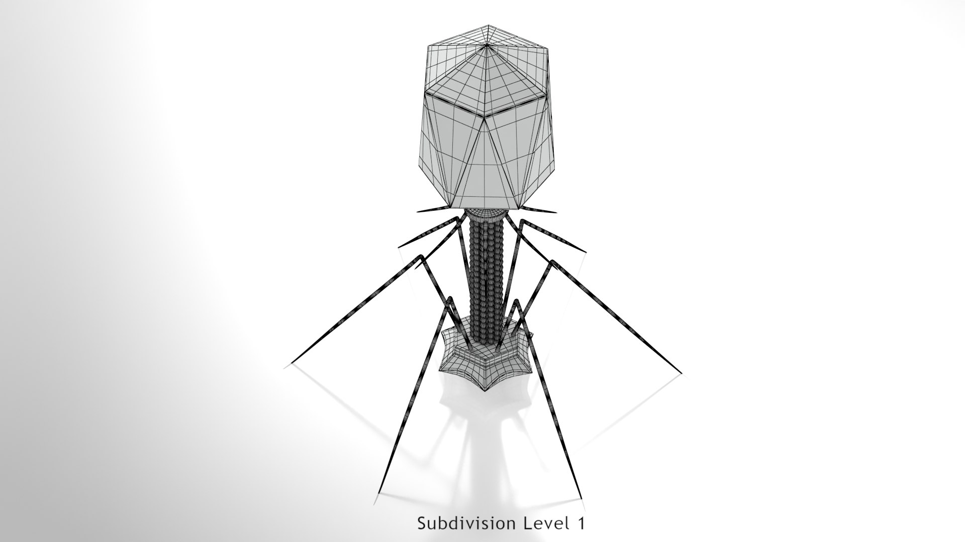 Bacteriophage 3D Model - TurboSquid 1975695