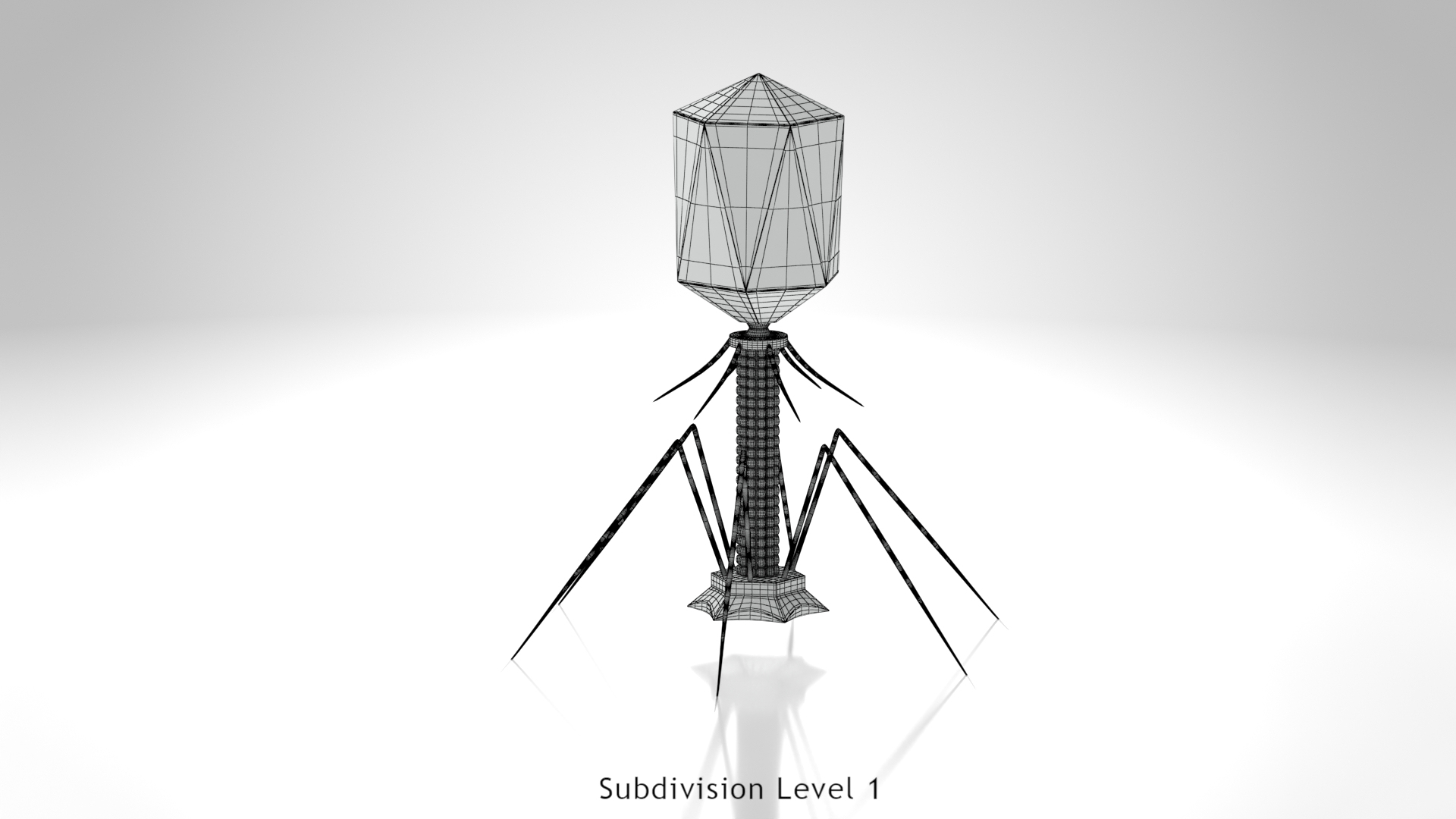 Bacteriophage 3D Model - TurboSquid 1975695