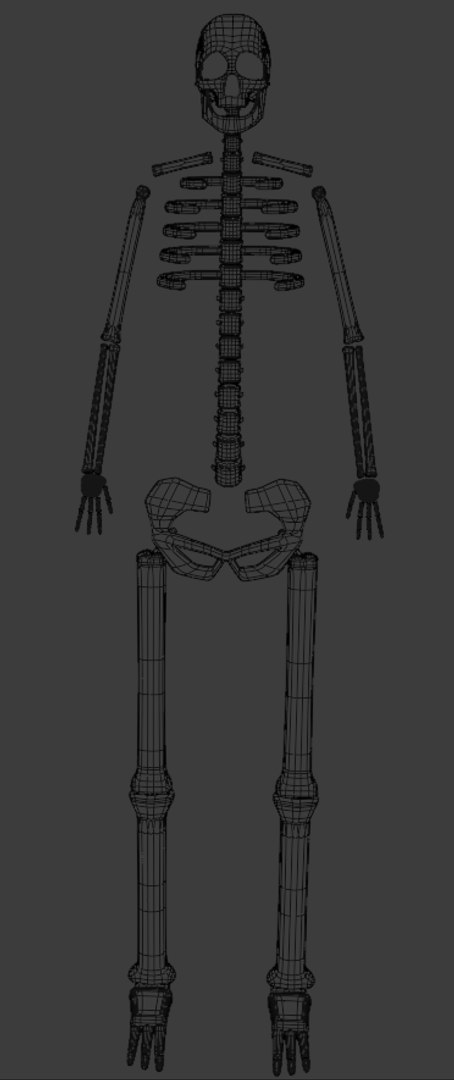 3D Skeleton Cartoon Model - TurboSquid 2146562