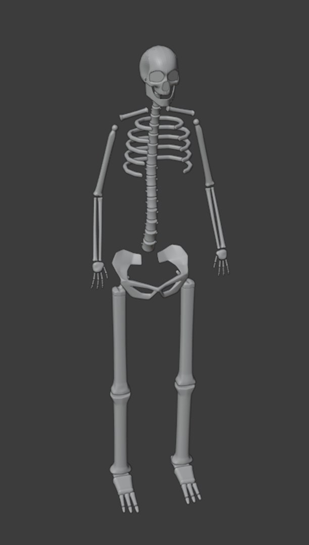 3D Skeleton Cartoon Model - TurboSquid 2146562