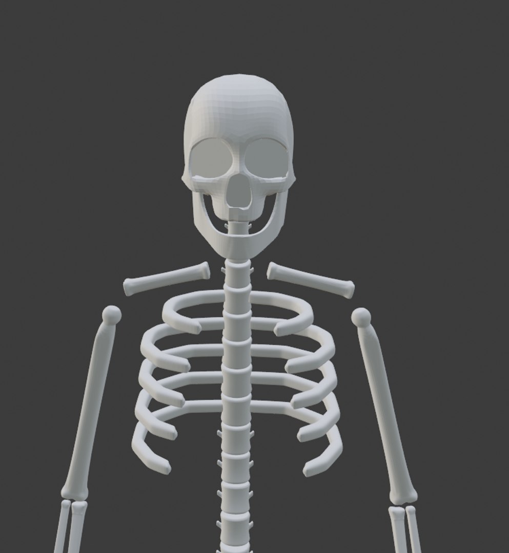 3D Skeleton Cartoon Model - TurboSquid 2146562