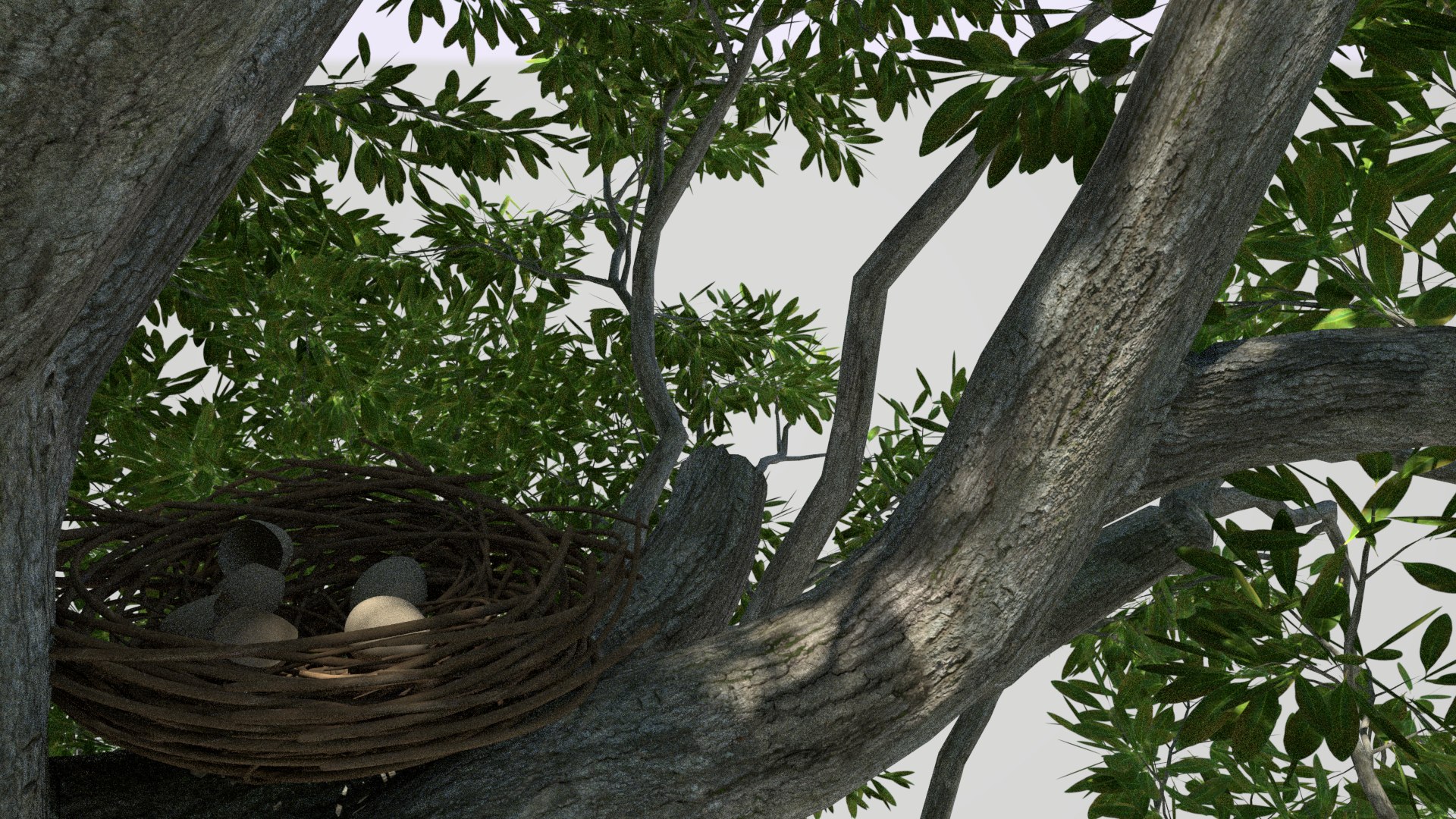 3D Bird Nest - TurboSquid 1272862