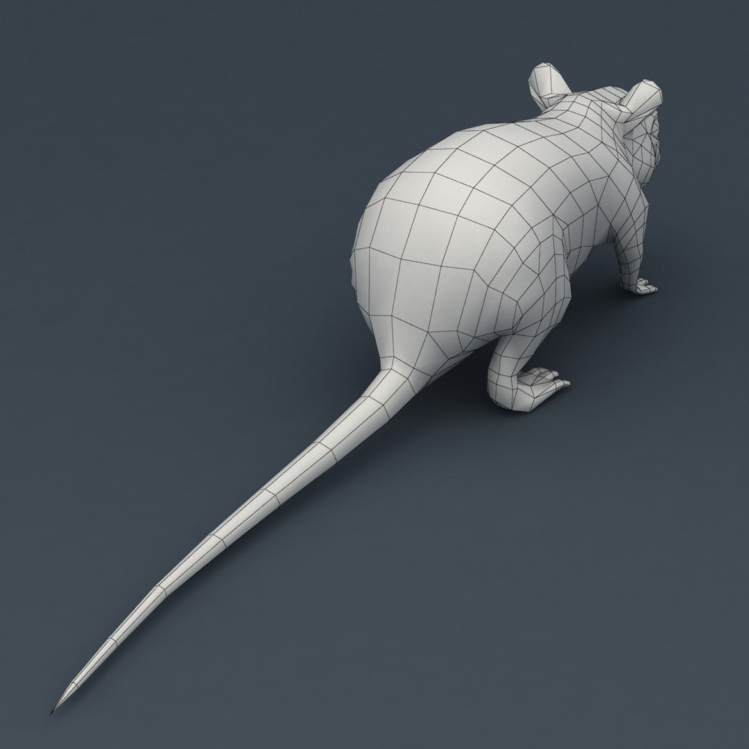Rat Walk Animation 3d Model