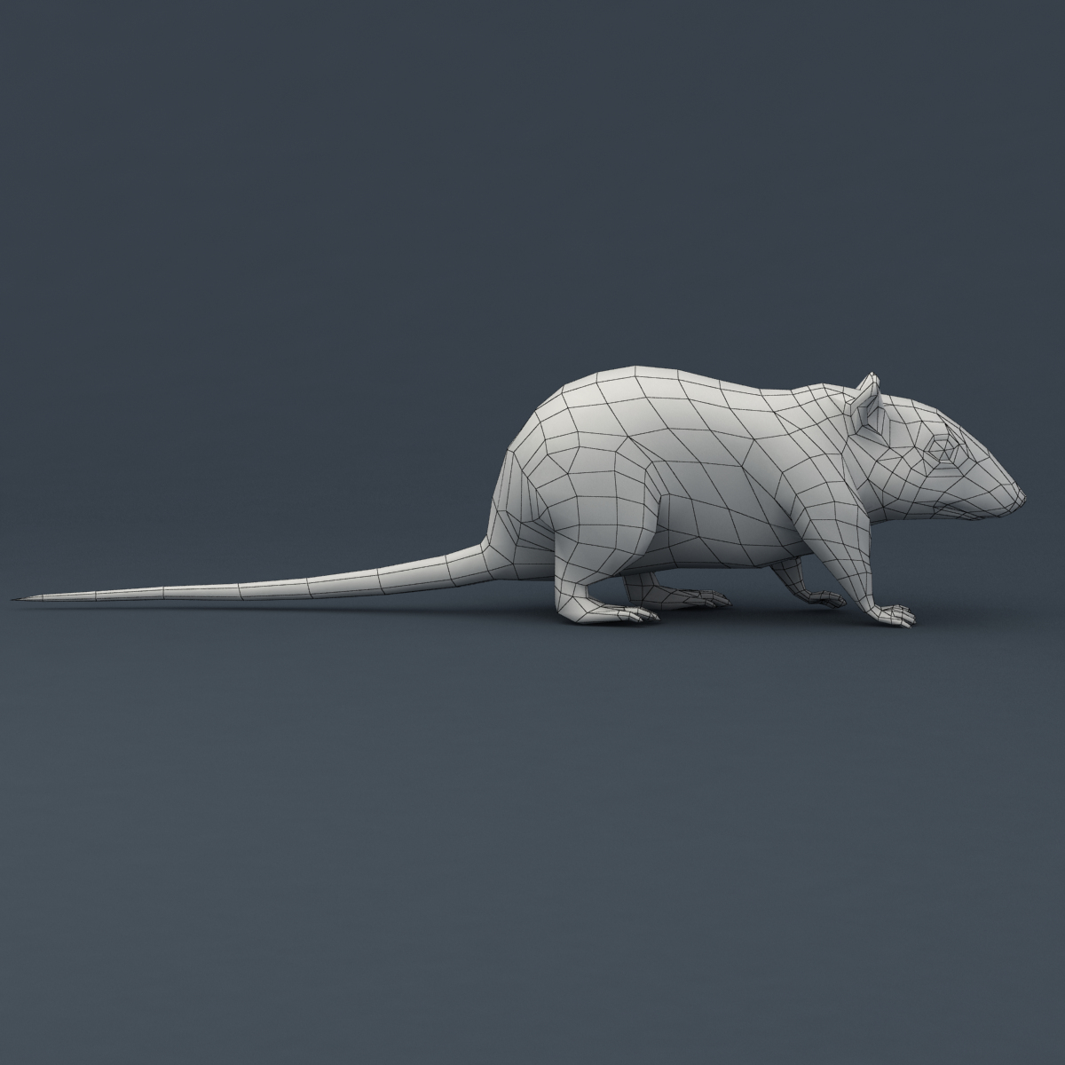 rat walk animation 3d model
