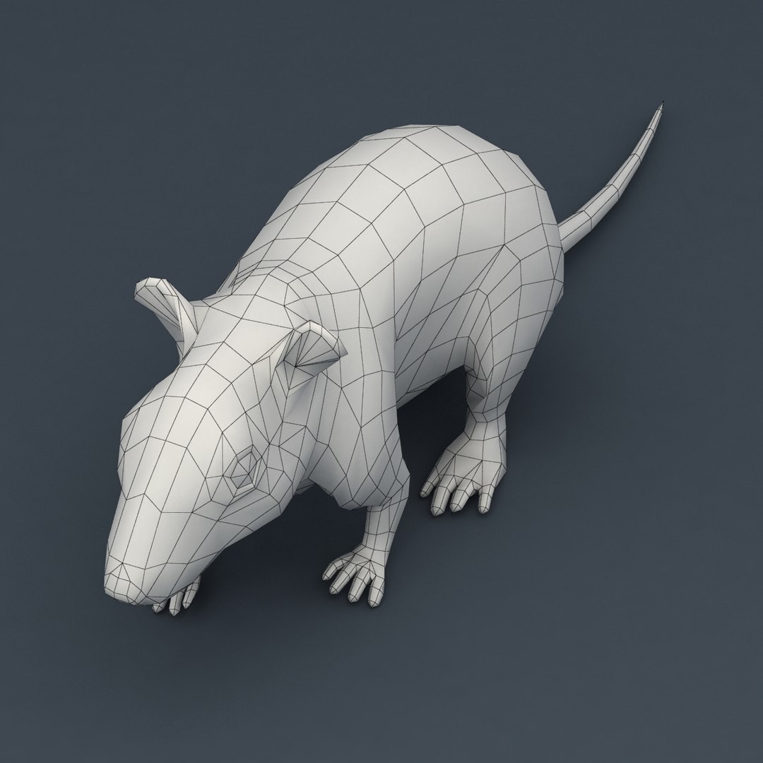 Rat Walk Animation 3d Model