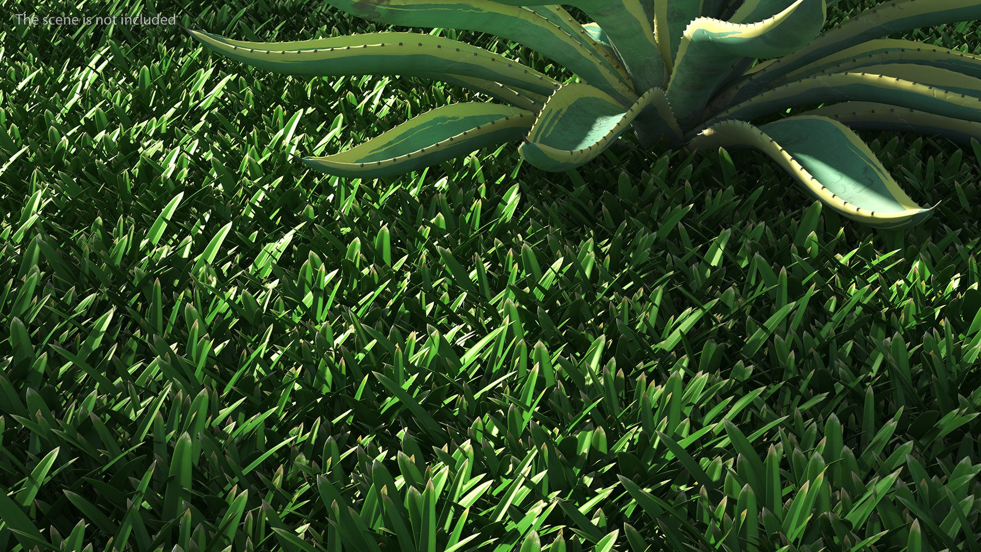 Realistic Grass Clump 3D Model - TurboSquid 2270537