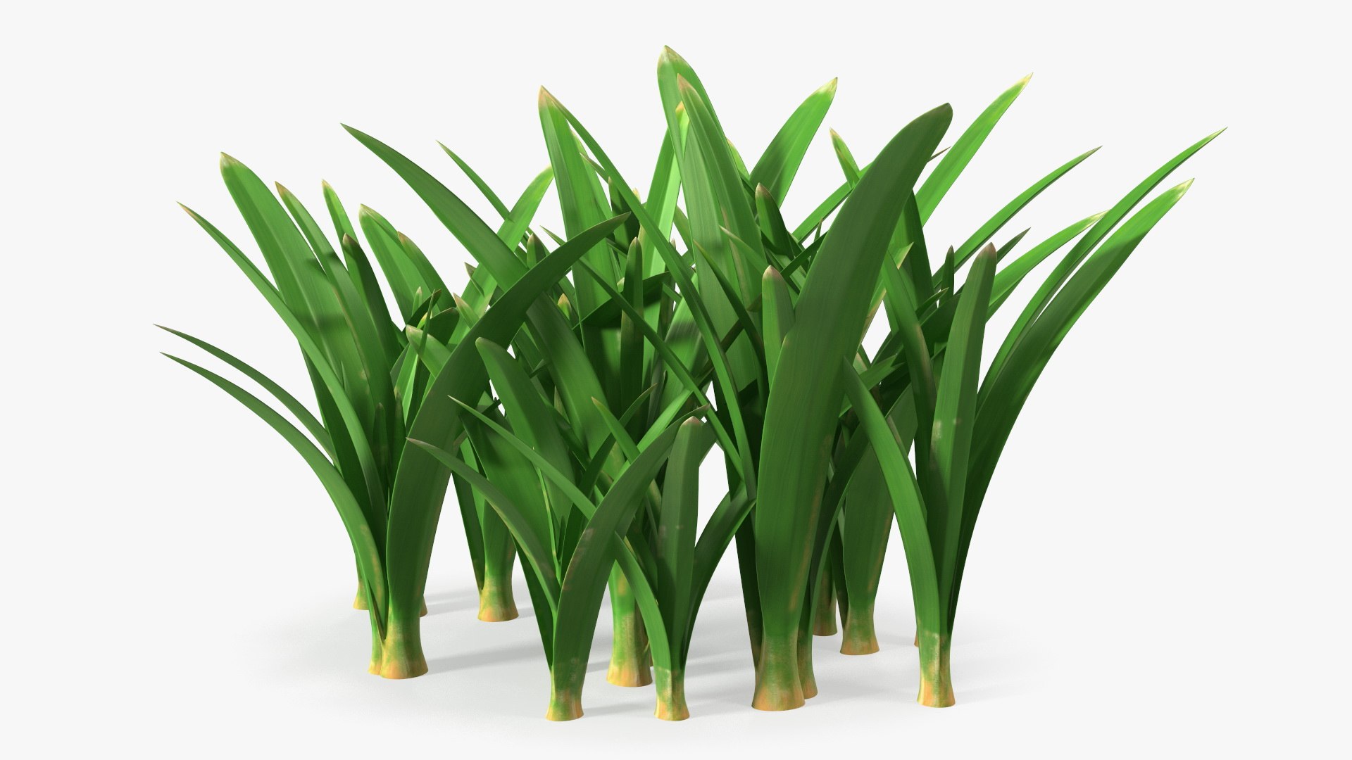 Realistic Grass Clump 3D Model - TurboSquid 2270537