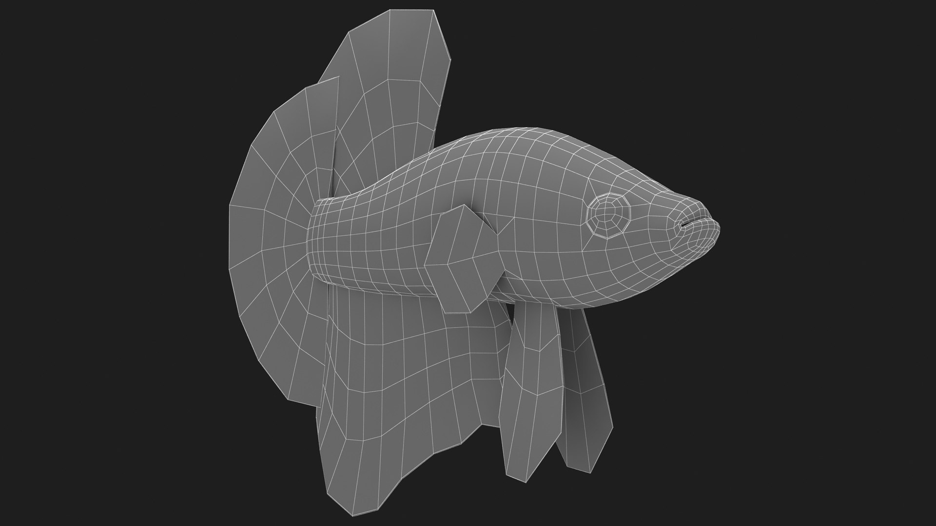 3D Model Female Betta Animation - TurboSquid 1550193