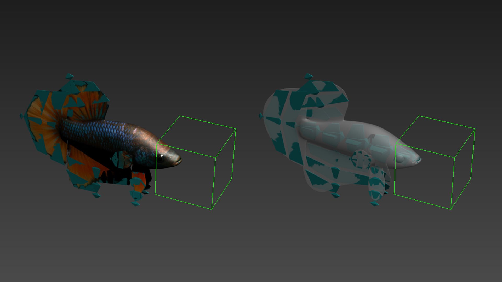 3D Model Female Betta Animation - TurboSquid 1550193