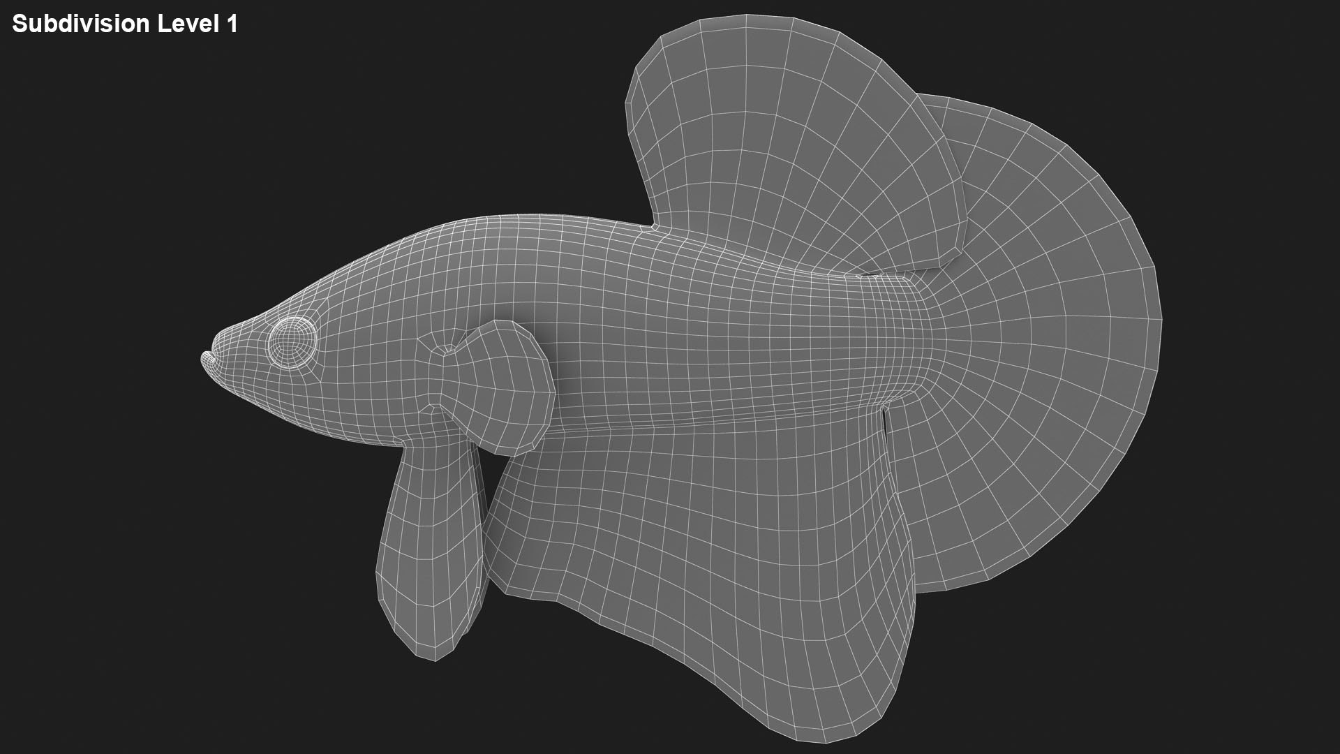 3D Model Female Betta Animation - TurboSquid 1550193
