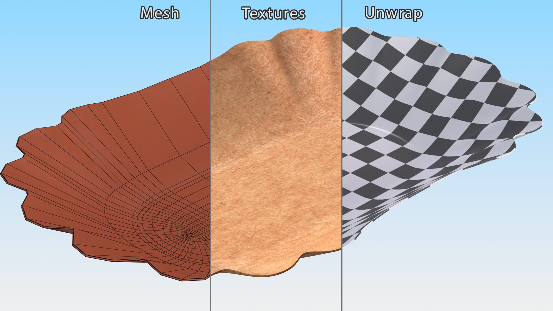 3D Brown Curly Paper Plate model - TurboSquid 2079662