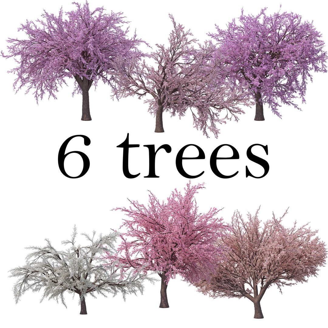 Sakura cherry pack tree 3D model - TurboSquid 1369465
