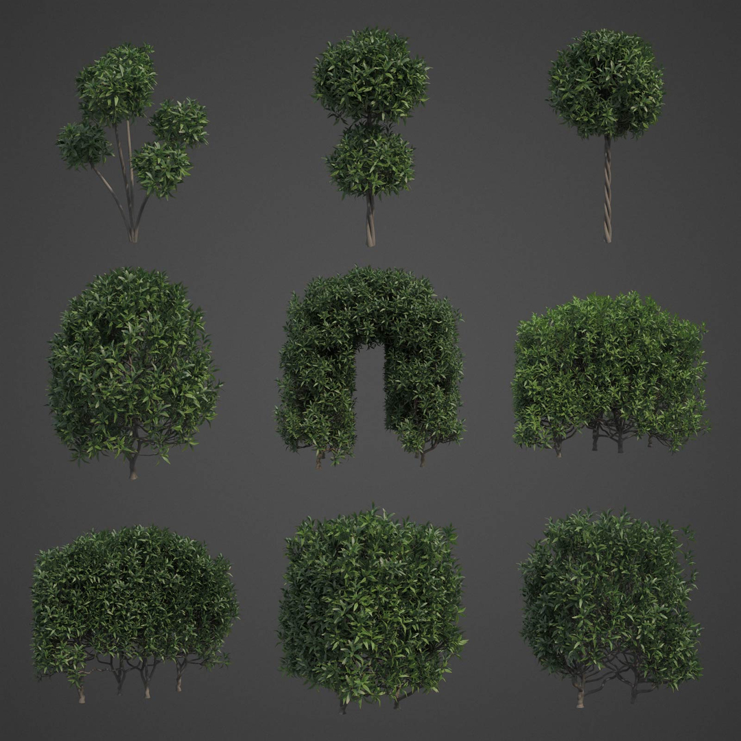 Nature Plants Foliage 3D Model - TurboSquid 1677864