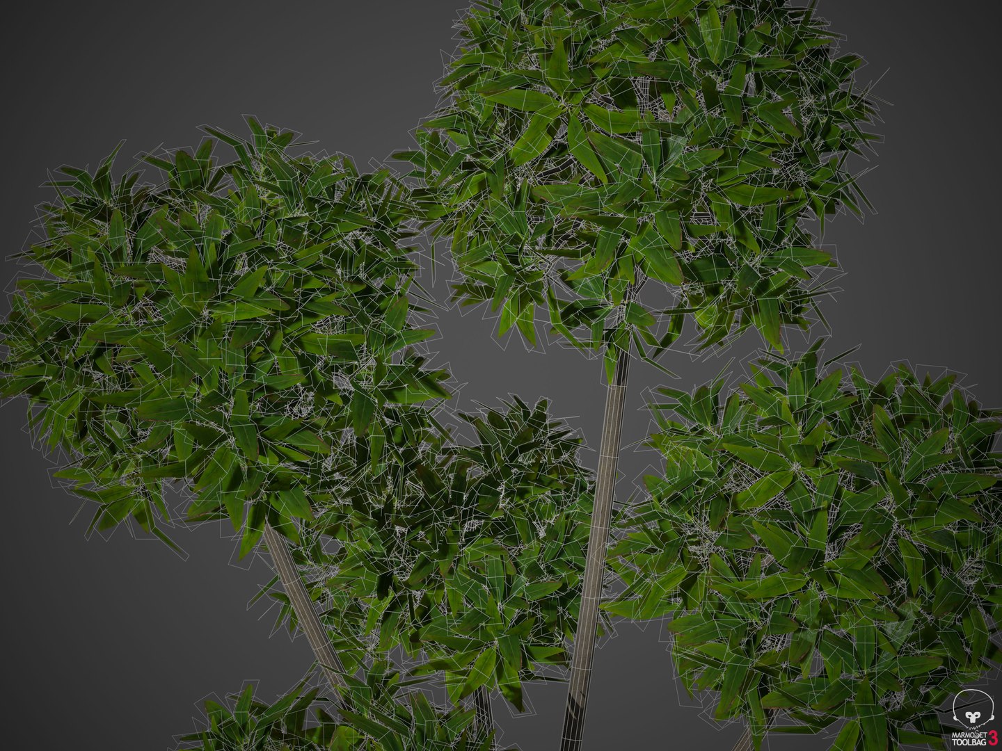 Nature Plants Foliage 3D Model - TurboSquid 1677864