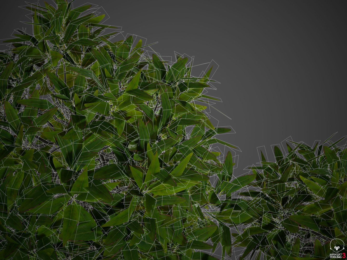 Nature Plants Foliage 3D Model - TurboSquid 1677864