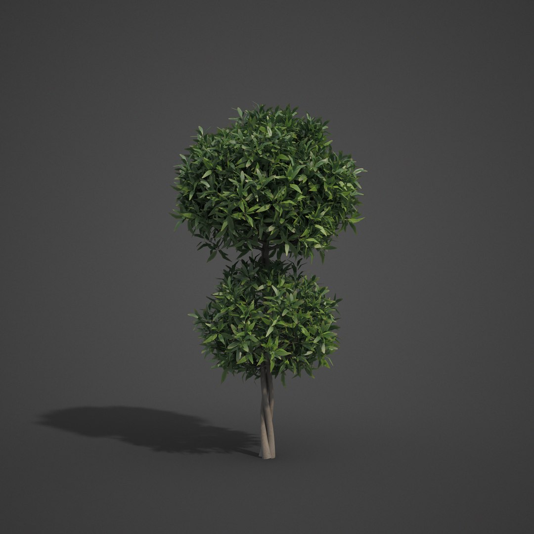 Nature Plants Foliage 3D Model - TurboSquid 1677864
