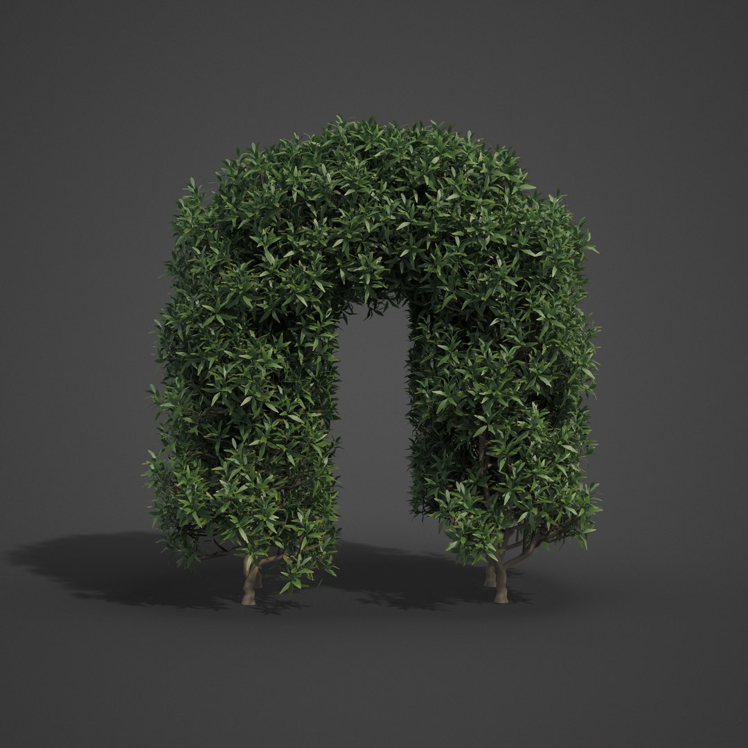 Nature Plants Foliage 3D Model - TurboSquid 1677864