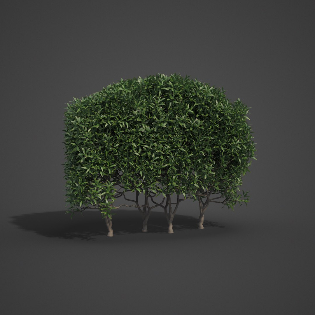 Nature Plants Foliage 3D Model - TurboSquid 1677864