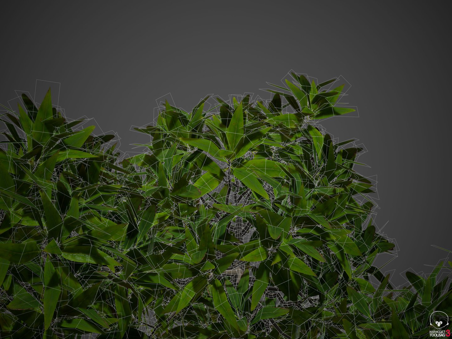 Nature Plants Foliage 3D Model - TurboSquid 1677864