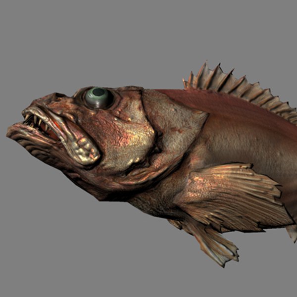 fish 3d model