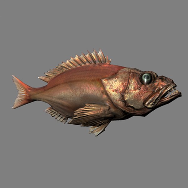 fish 3d model