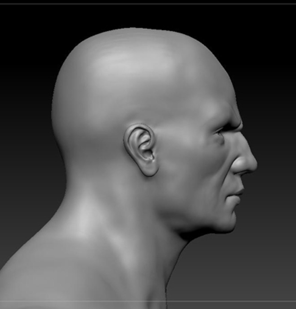 realistic bodybuilder body 3ds