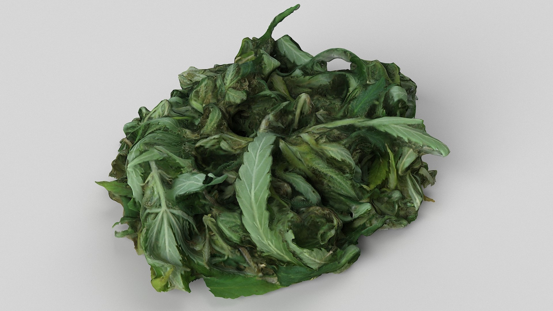 Marijuana Weed 3D - TurboSquid 1621927