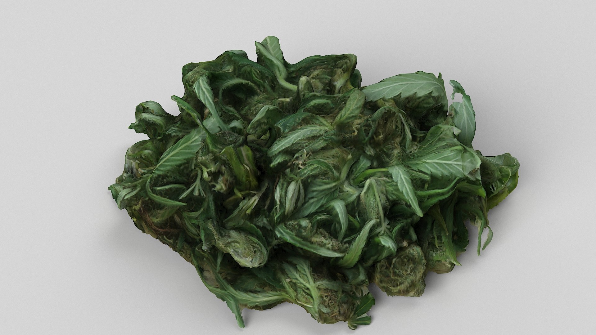 Marijuana Weed 3D - TurboSquid 1621927