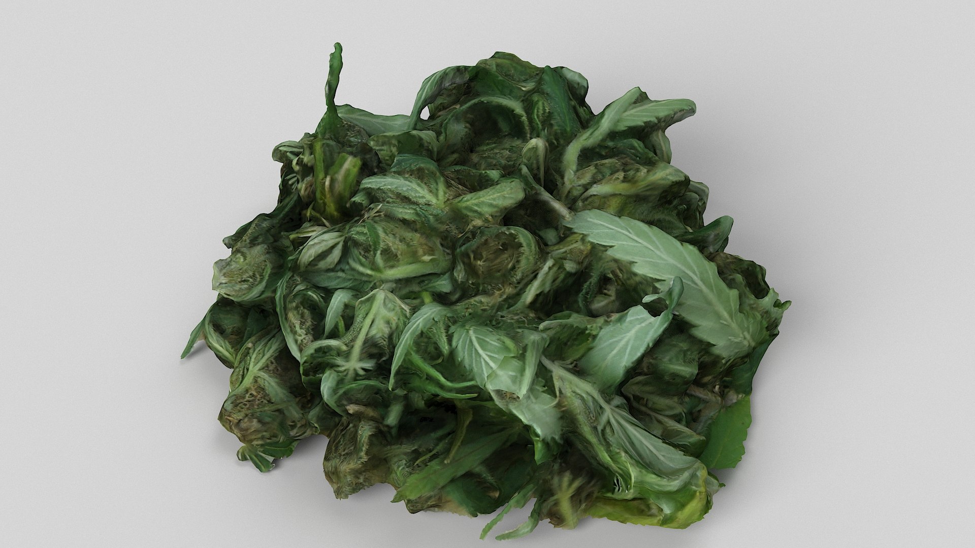 Marijuana Weed 3D - TurboSquid 1621927