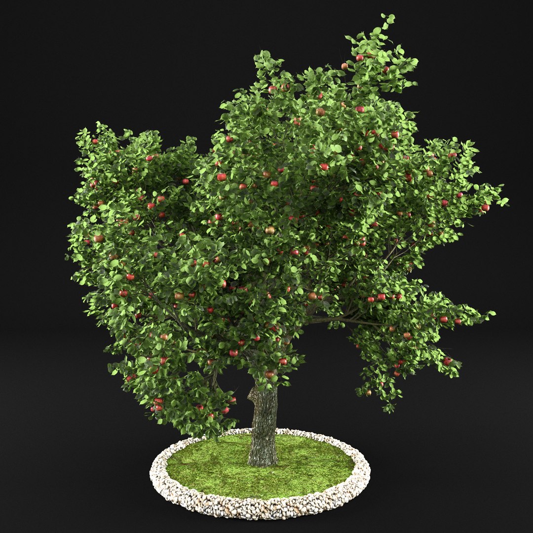 3D apple tree model - TurboSquid 1159283