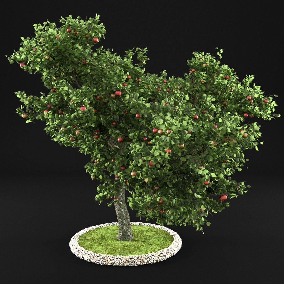 3D apple tree model - TurboSquid 1159283