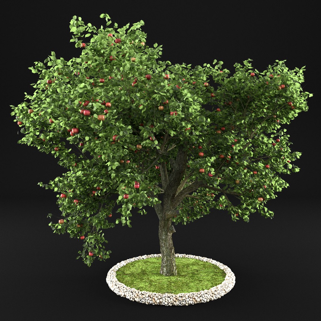 3D apple tree model - TurboSquid 1159283