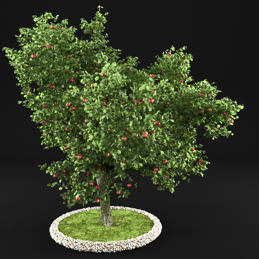 3D apple tree model - TurboSquid 1159283