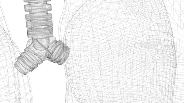 3D Respiratory Set - TurboSquid 1865286