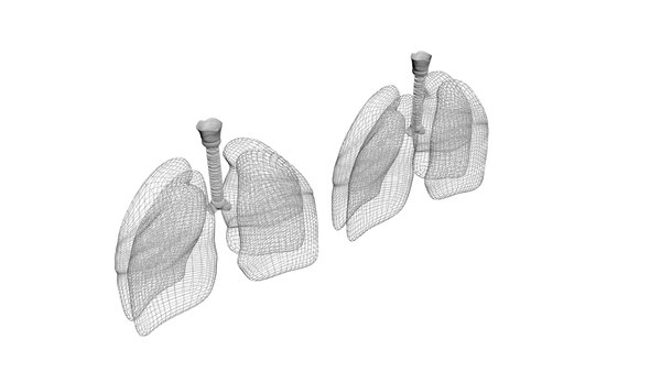 modelo 3d Conjunto Respiratorio - TurboSquid 1865286