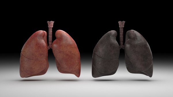 3D Respiratory Set - TurboSquid 1865286