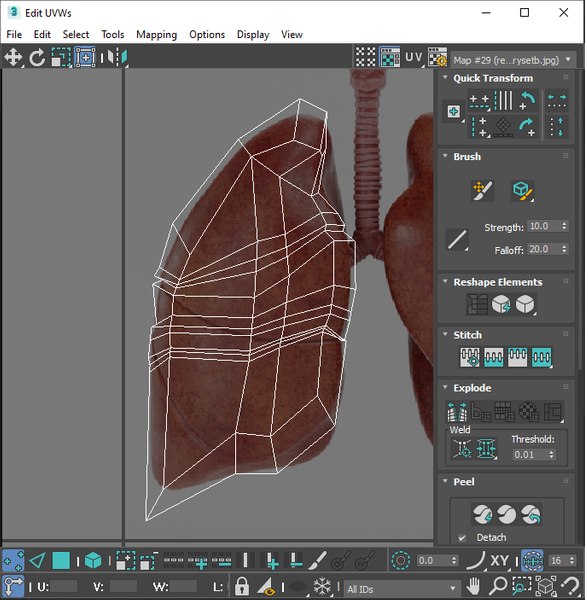 3D Respiratory Set - TurboSquid 1865286